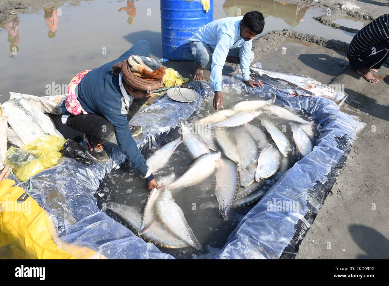A vendor sale fish at a market on the occasion of Uruka at Uzan Bazar ...