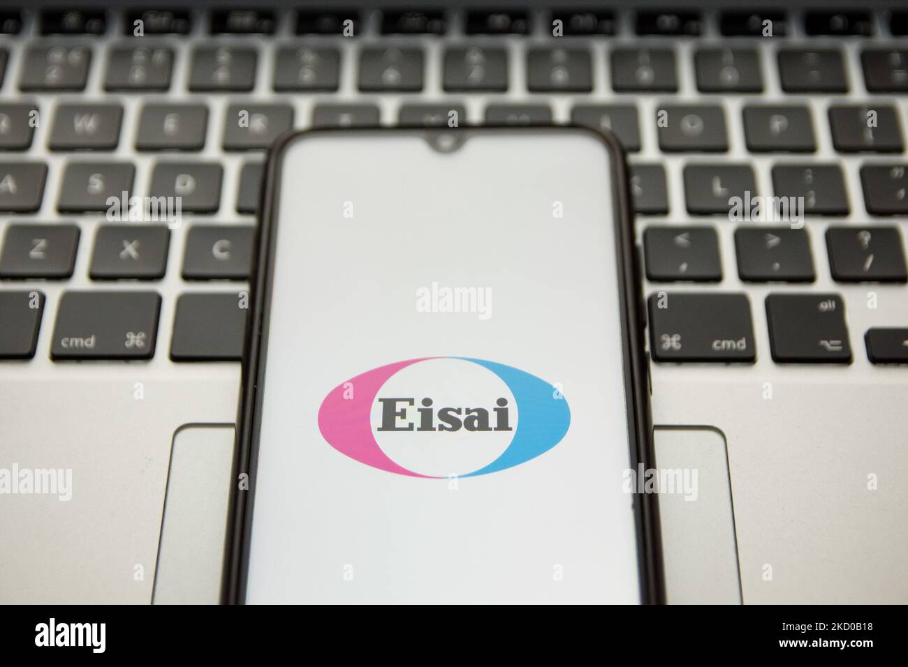 In this photo illustration an Eisai logo seen displayed on a smartphone ...