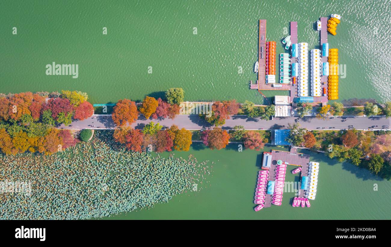 Aerial photo shows colorful vegetation on the lake embankment of Xuanwu ...