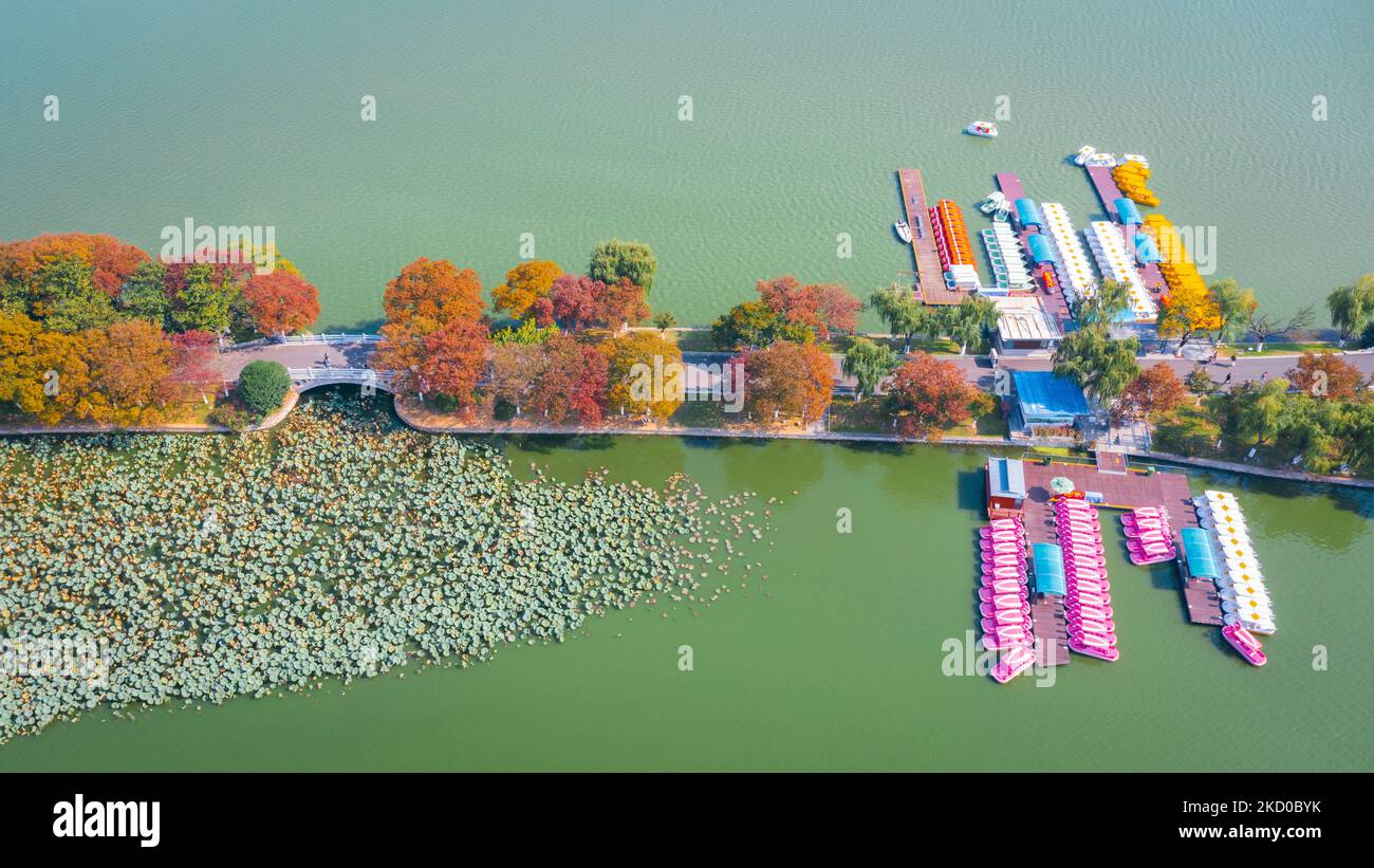 Aerial photo shows colorful vegetation on the lake embankment of Xuanwu ...