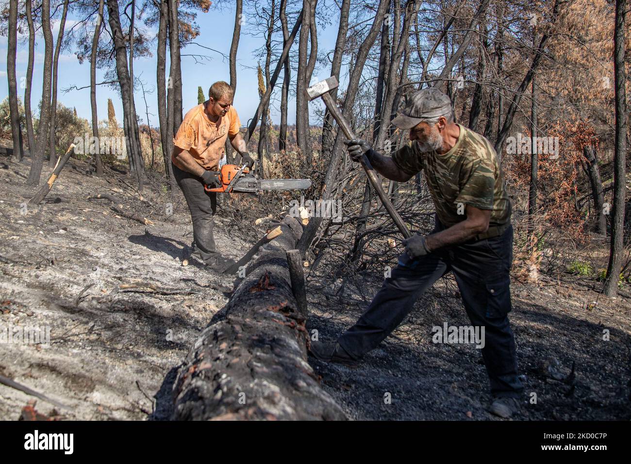 The aftermath of the wildfires in Evia Island, one of the largest ...