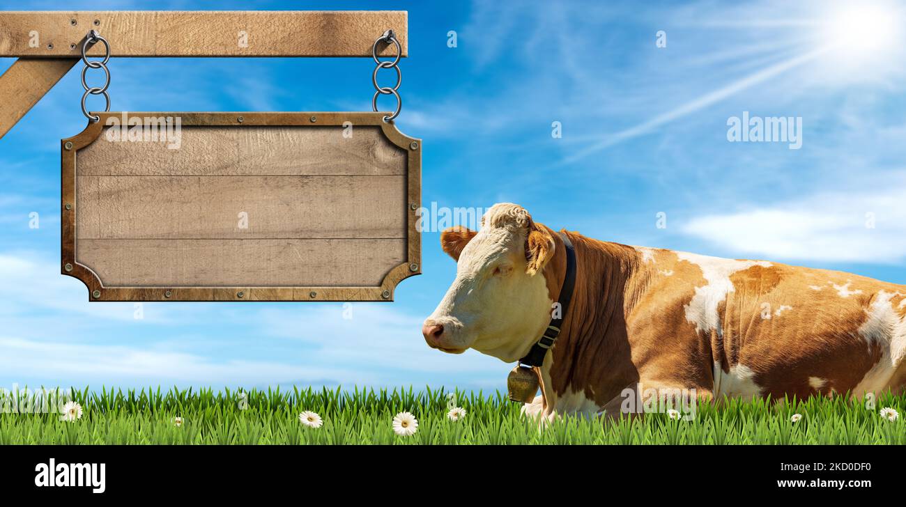 Empty wooden sign hanging on a metal chain on a pole with copy space ...