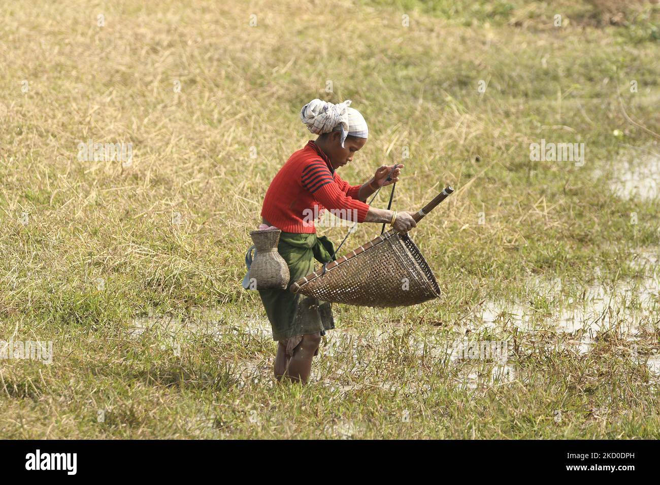 Women from the Tiwa tribe catch fish in a wetland at Dharamtul village ...