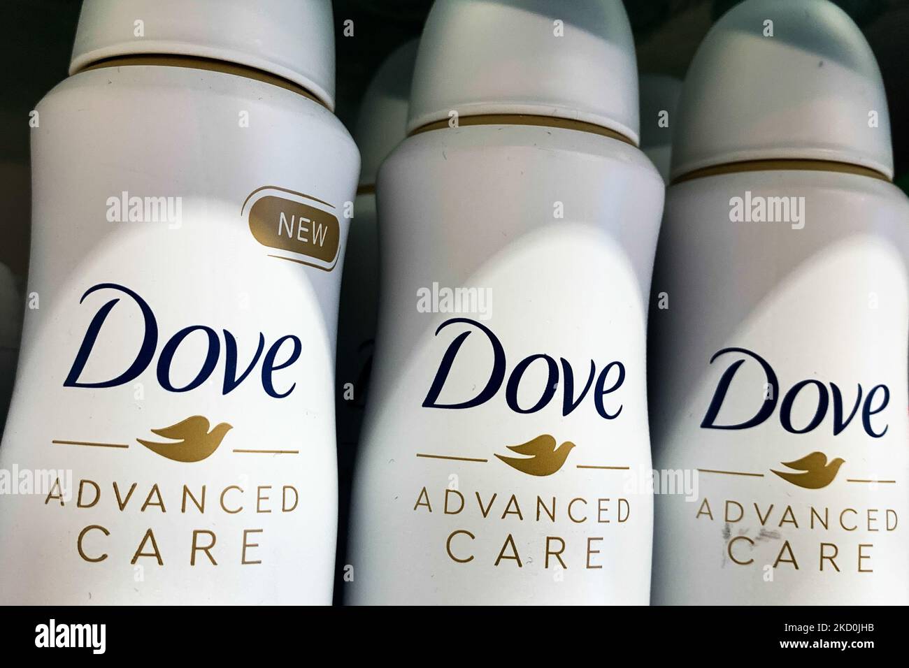 Dove Logo 2022