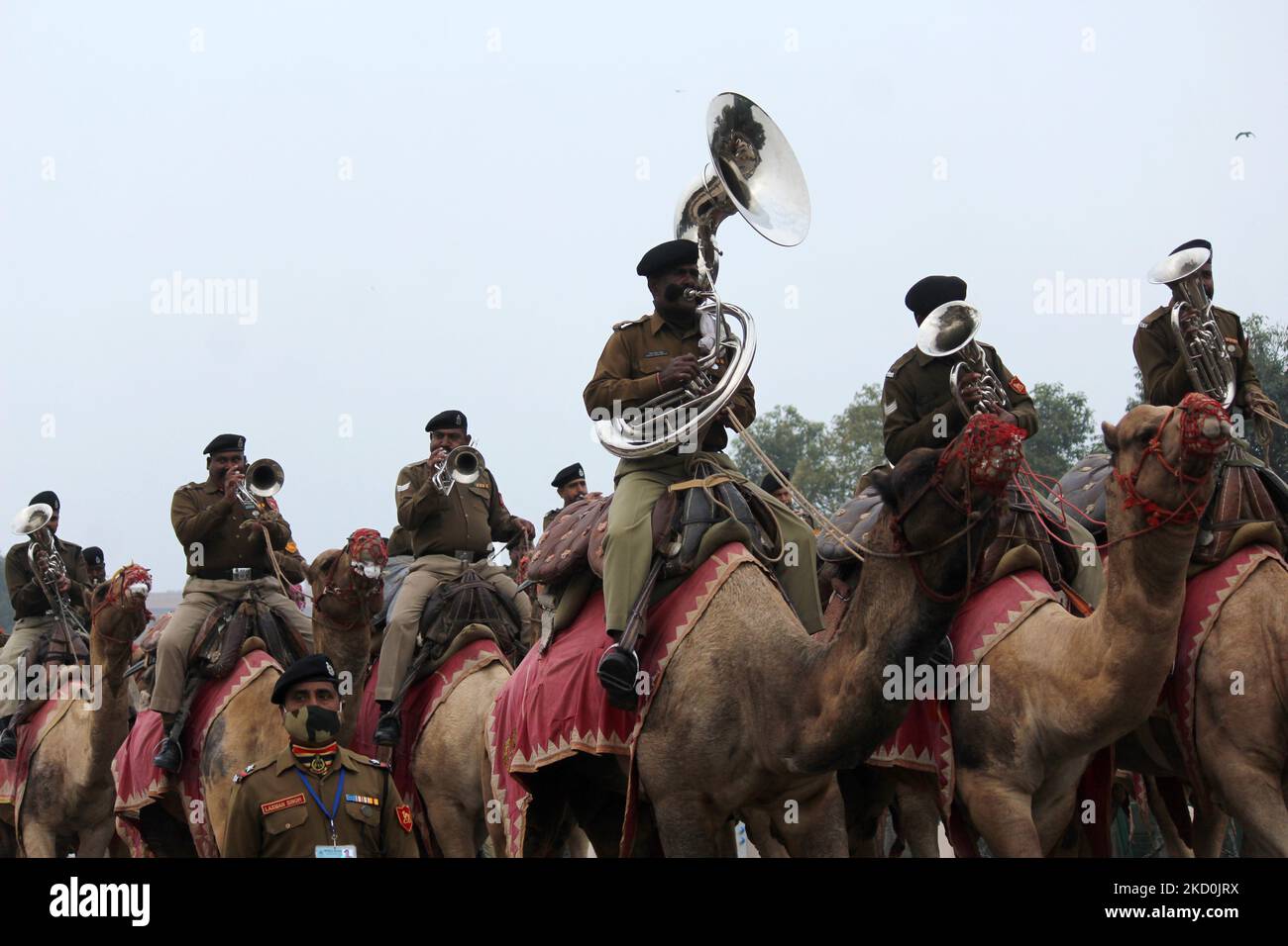 Camel mounted band hi-res stock photography and images - Alamy