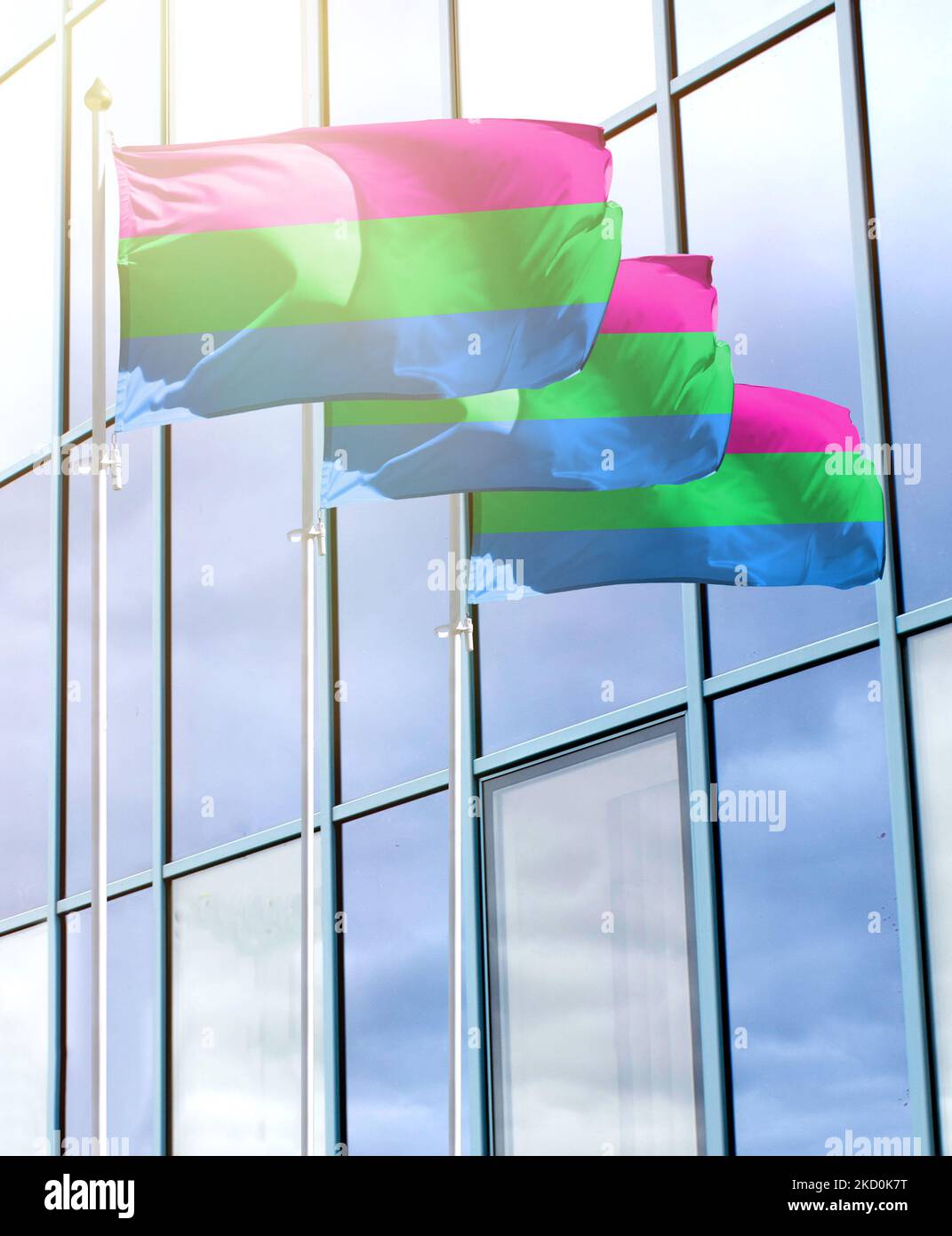 Flagpoles with the flag of Polysexuality in front of the business ...