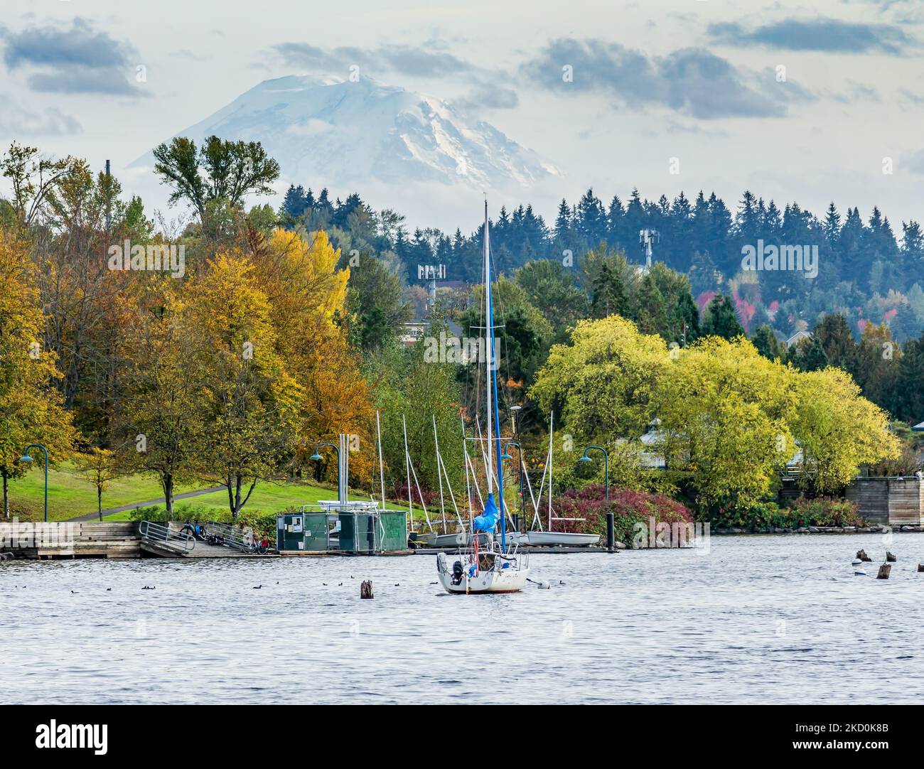 Trees display rich autumn colors along the shore at Gene Coulon Park in Renton, Washington Stock ...