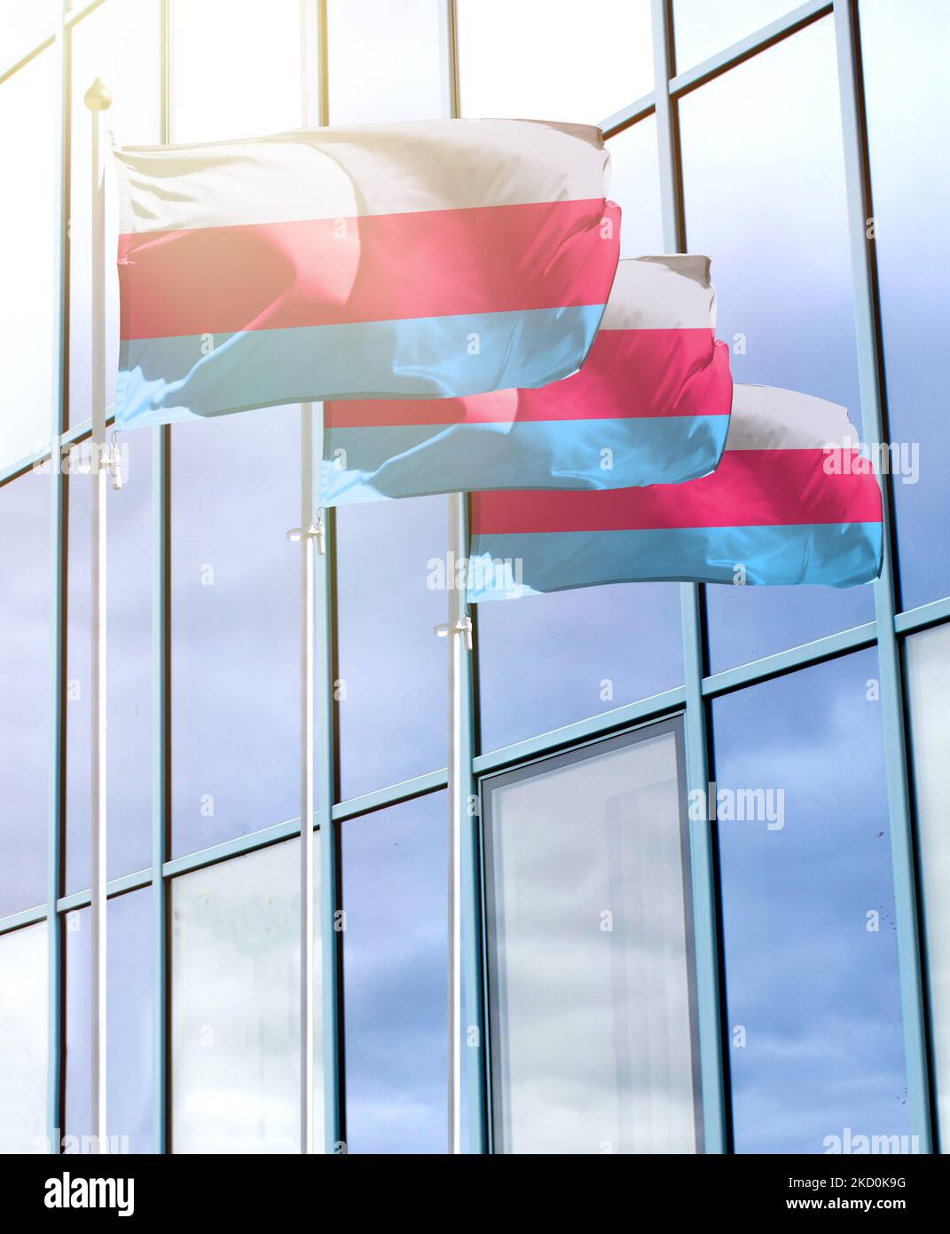Flagpoles with the flag of Sapiosexual pride in front of the business ...