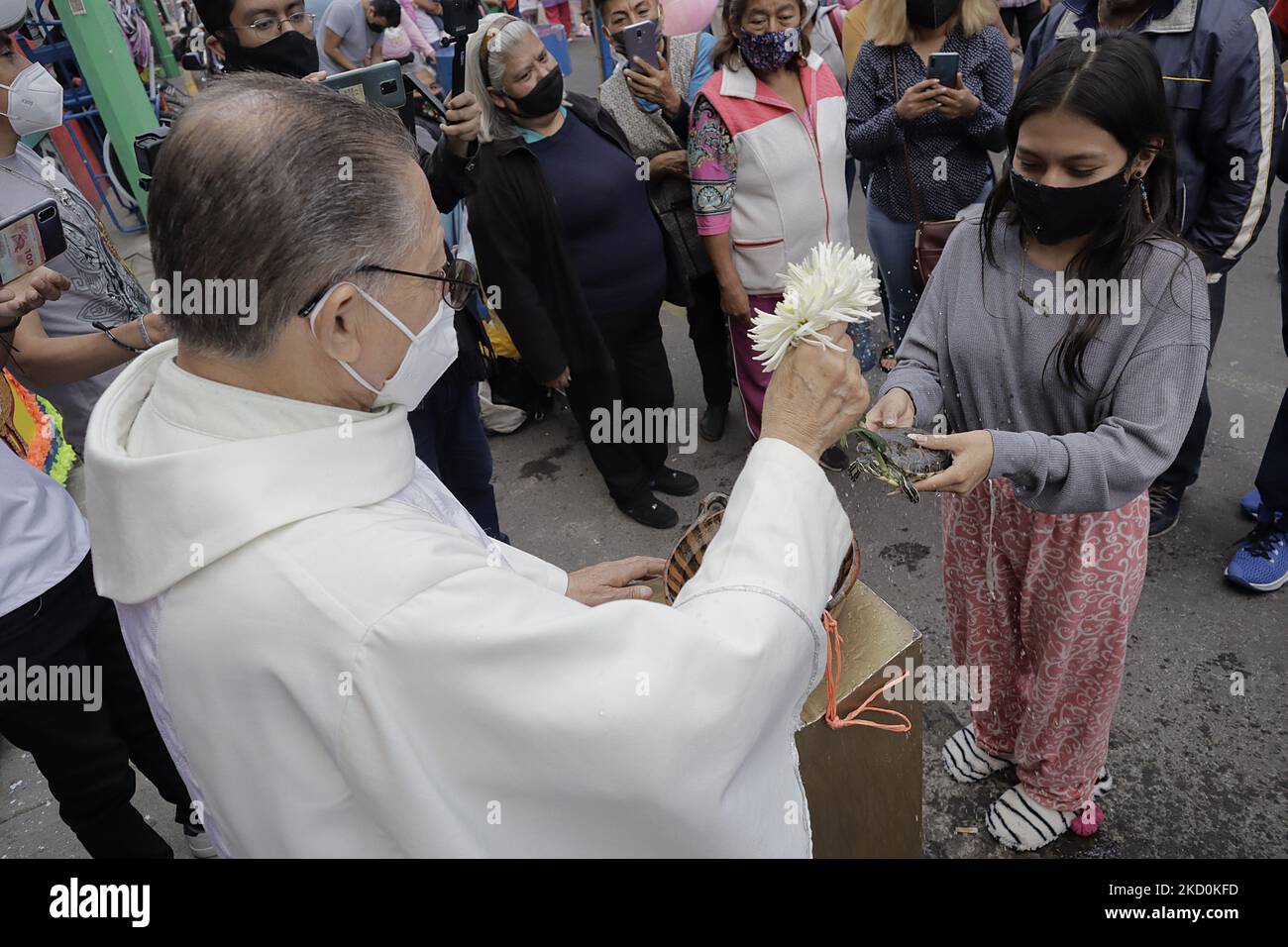 A priest blesses a turtle outside a church in Coyoacán, Mexico City, in ...