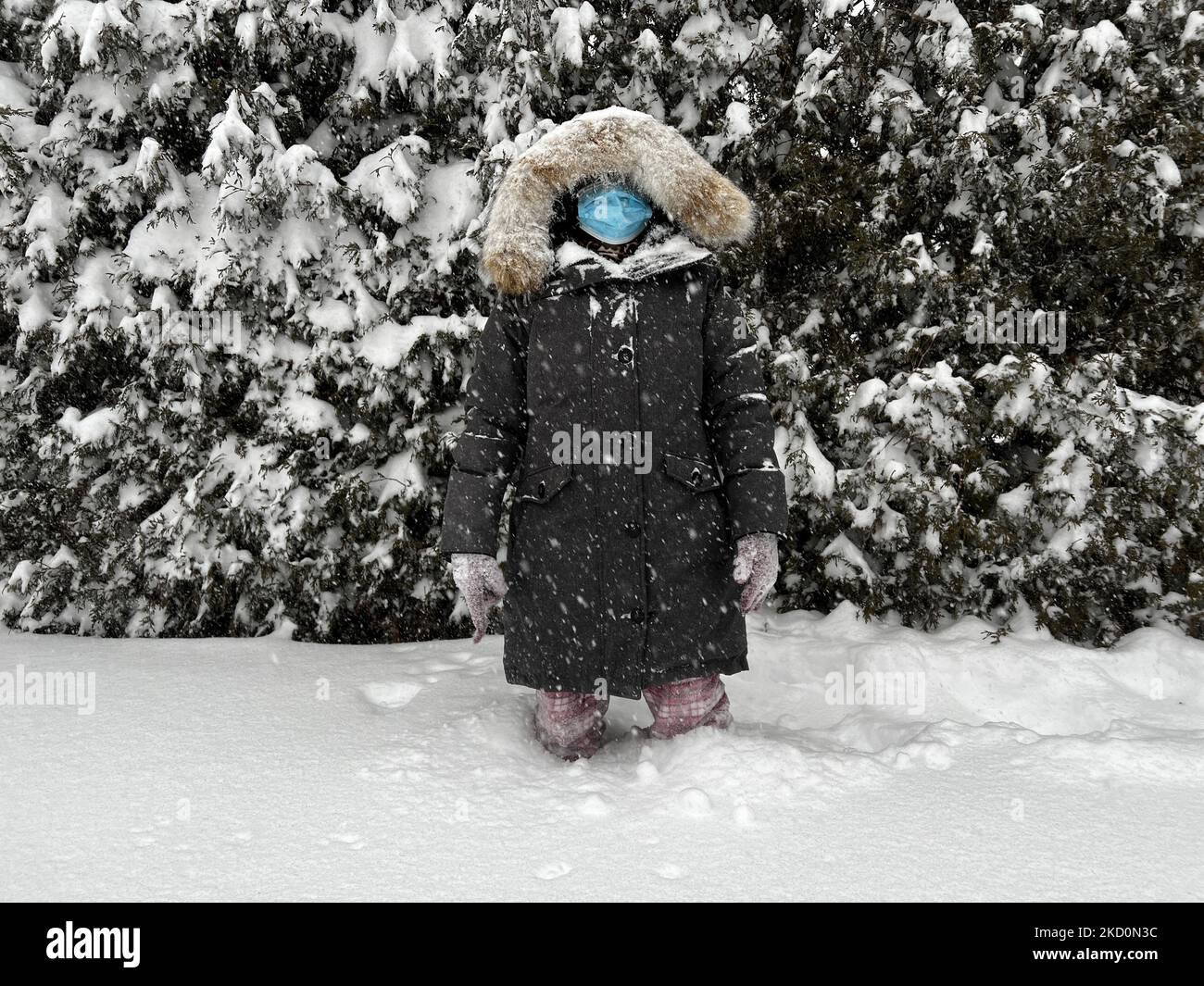 Blizzard canada deep hi-res stock photography and images - Alamy