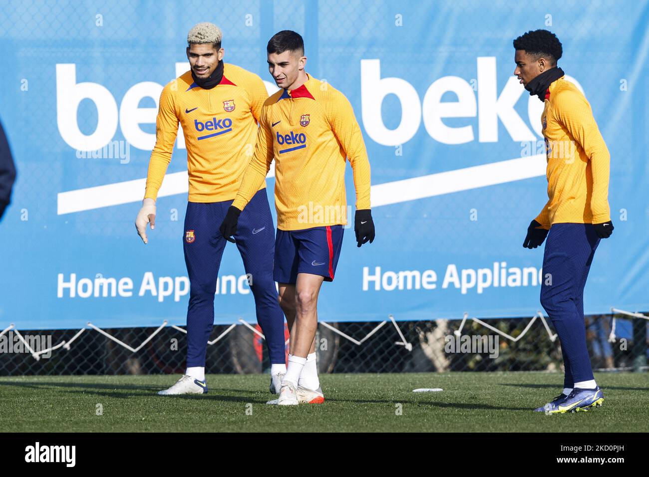 Balde araujo january hi-res stock photography and images - Alamy