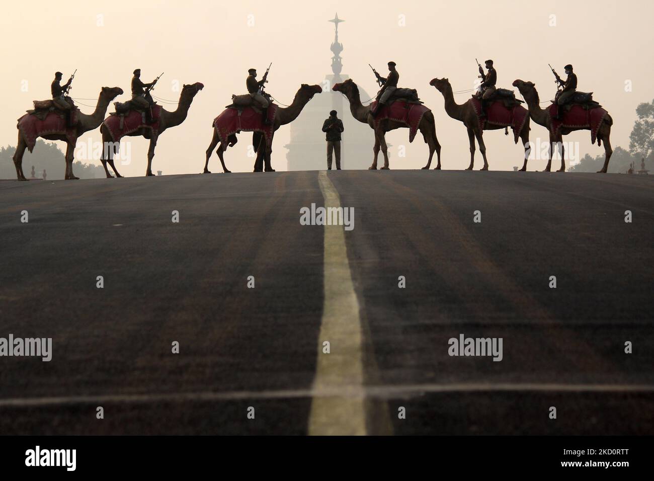 Camel mounted division hi-res stock photography and images - Alamy