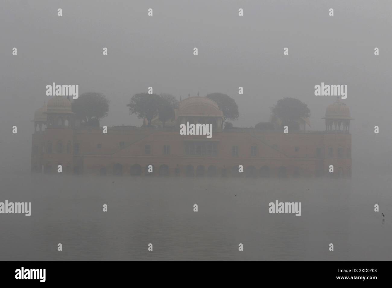 21th janaury 2022 hi-res stock photography and images - Alamy