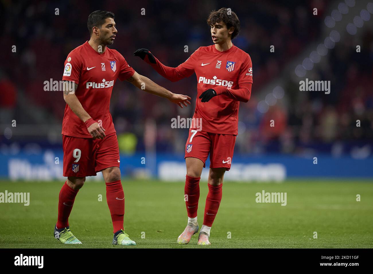 Luis Suarez and Joao Felix of Atletico Madrid during the La Liga ...