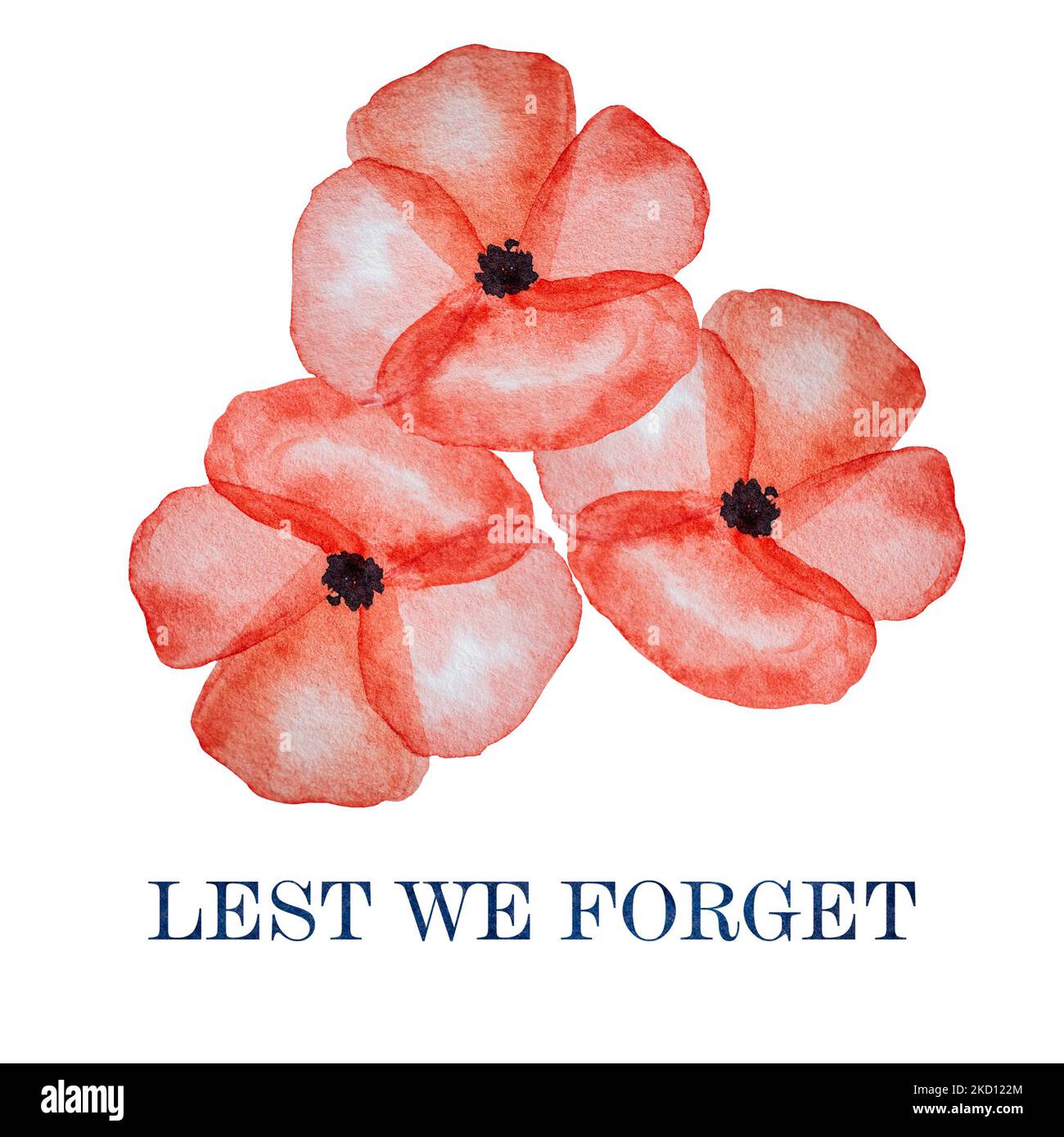 Remembrance Day. Beautiful picture with poppy flowers. Close-up, top ...
