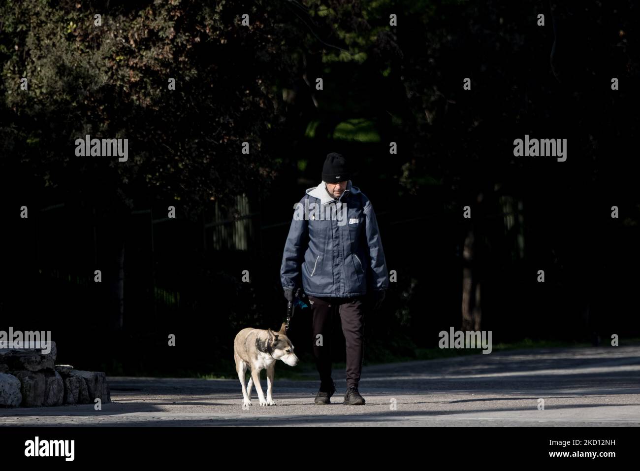 A man is walking with his dog at the Acropolis Heel wearing protected ...
