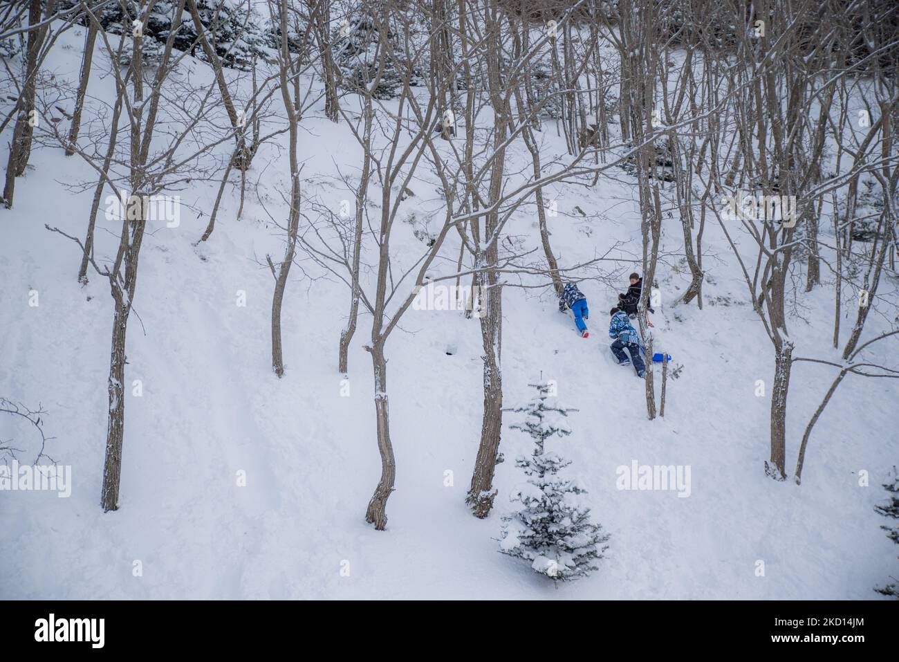 Children playing with the snow at Dirfi mountain, in Evia, Greece, on ...