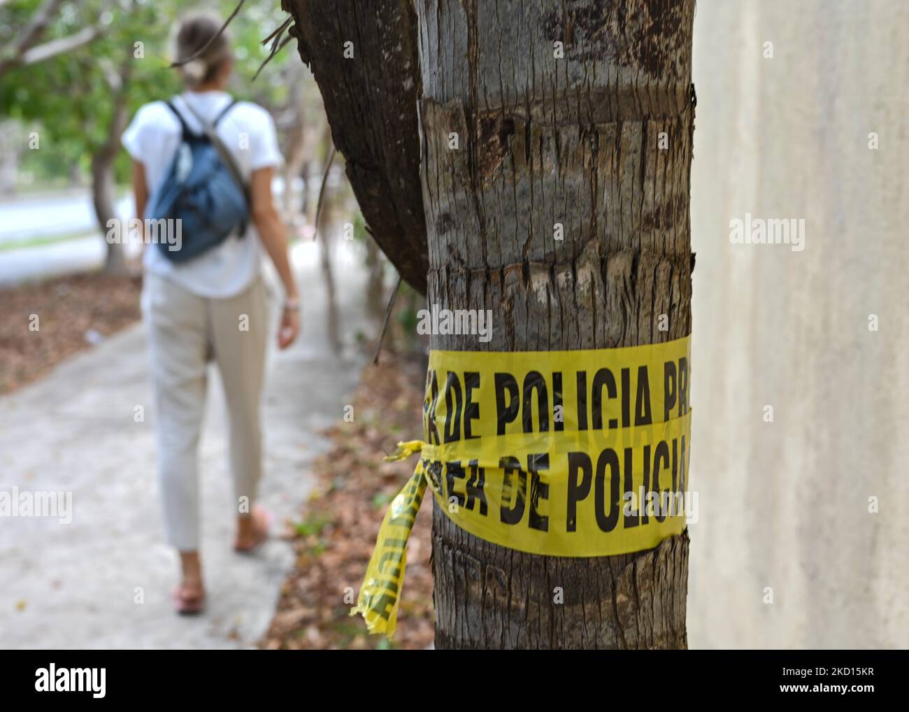 Police security tape around a tree in Merida. On Sunday, January 23 ...