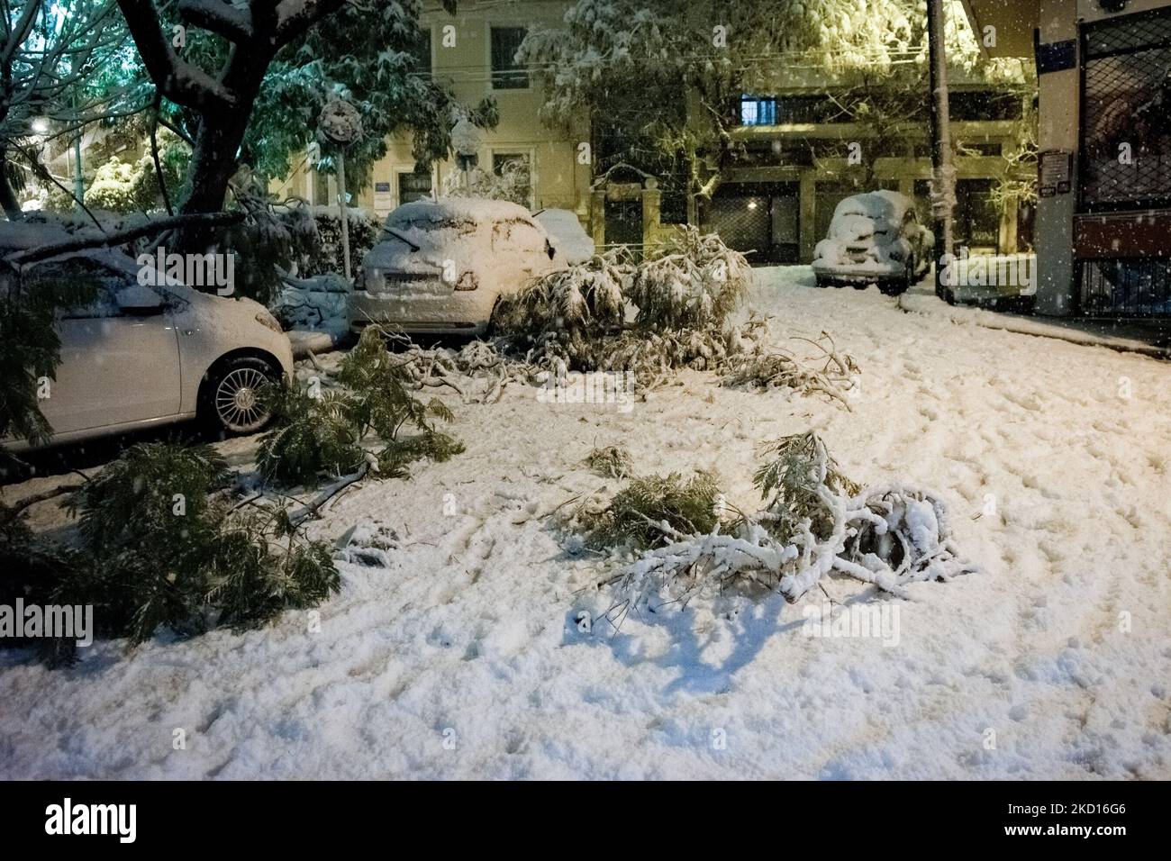 Trees fell due to 'Elpida' snowfall in the center of Athens, Greece on ...