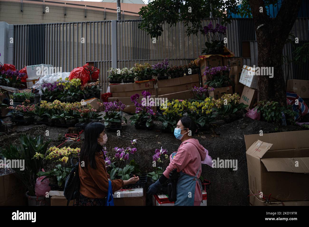 Shoppers buy festive plants at a flower market on the eve of the ...
