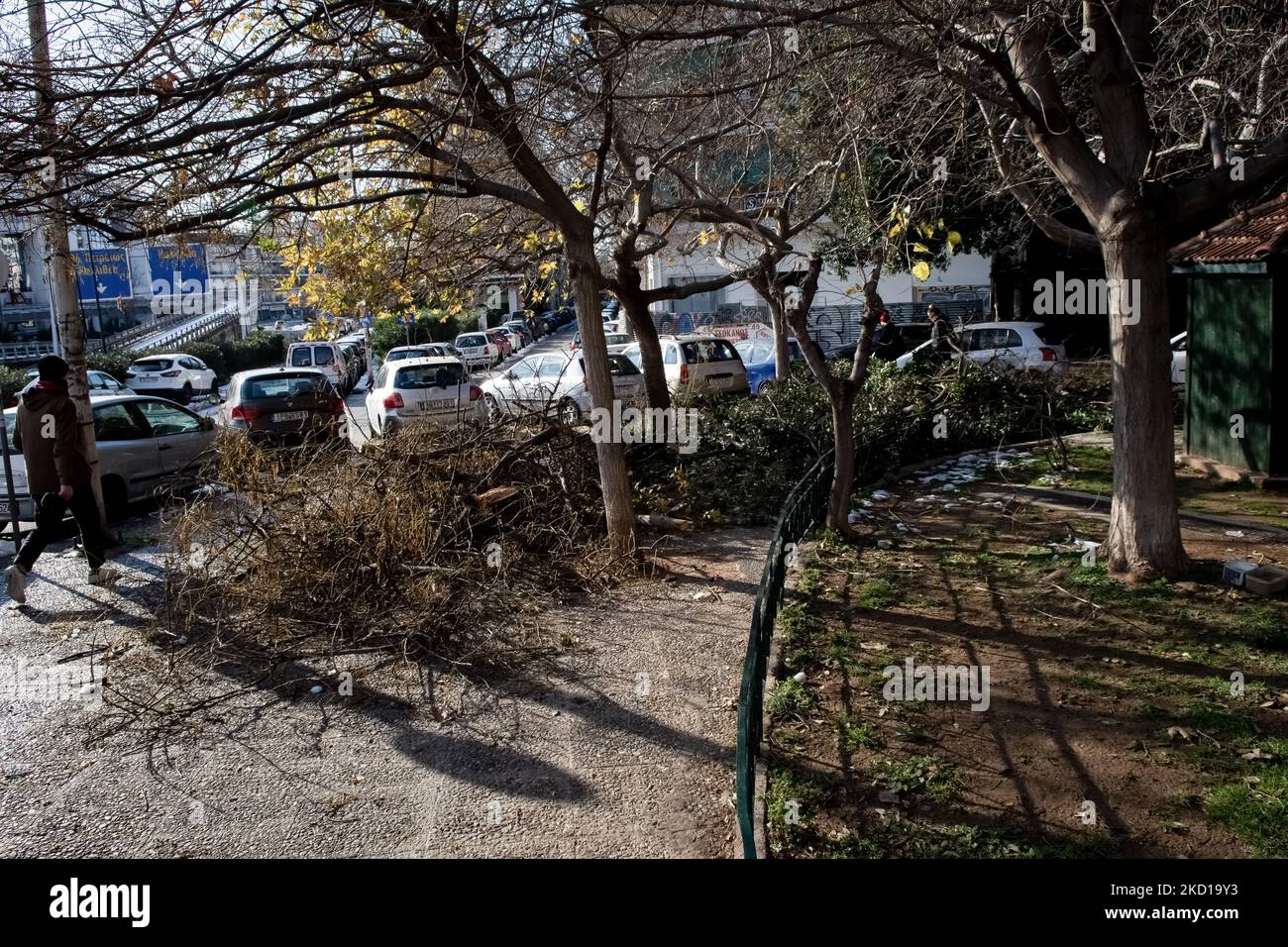 Broken trees after the snowfall in the center of Athens, Greece on ...