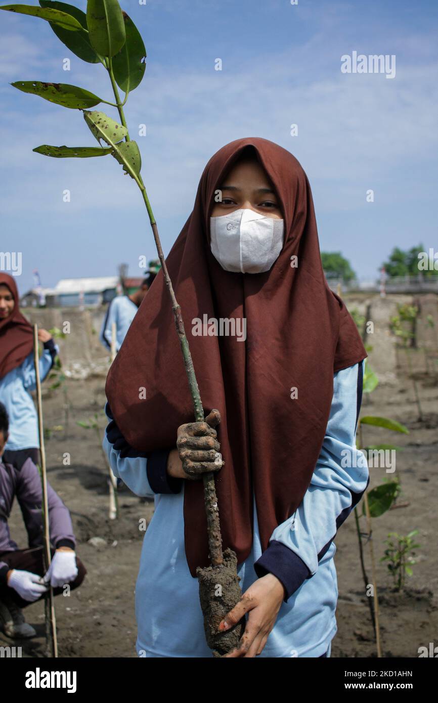 A student is seen planting mangrove seedlings during a campaign to ...