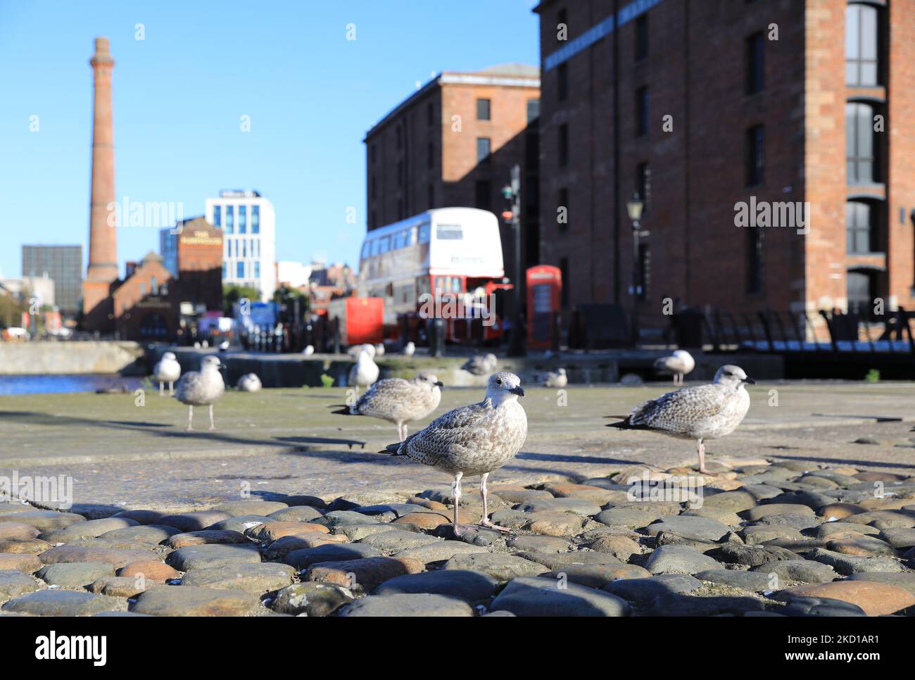 Hartley Quay on the Royal Albert Docks in autumn sunshine, on Liverpool ...