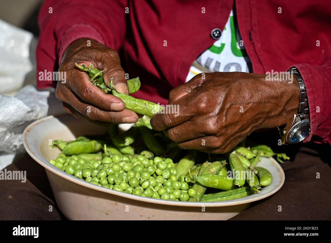 An elderly person peels green peas. On Tuesday, January 25, 2022, in ...