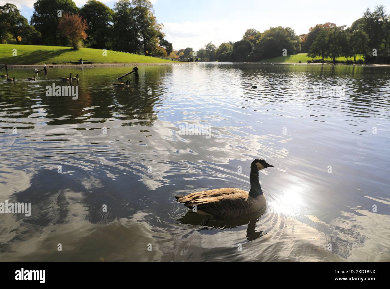 Beautiful Sefton Park, in south Liverpool, a grade 1 historical park ...