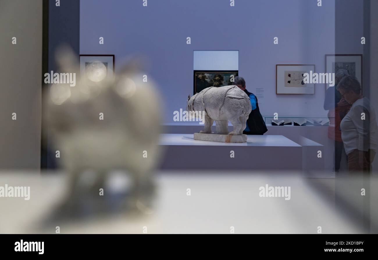 A picture of a sculpture of Clara, the first known Rhinoceros, on ...