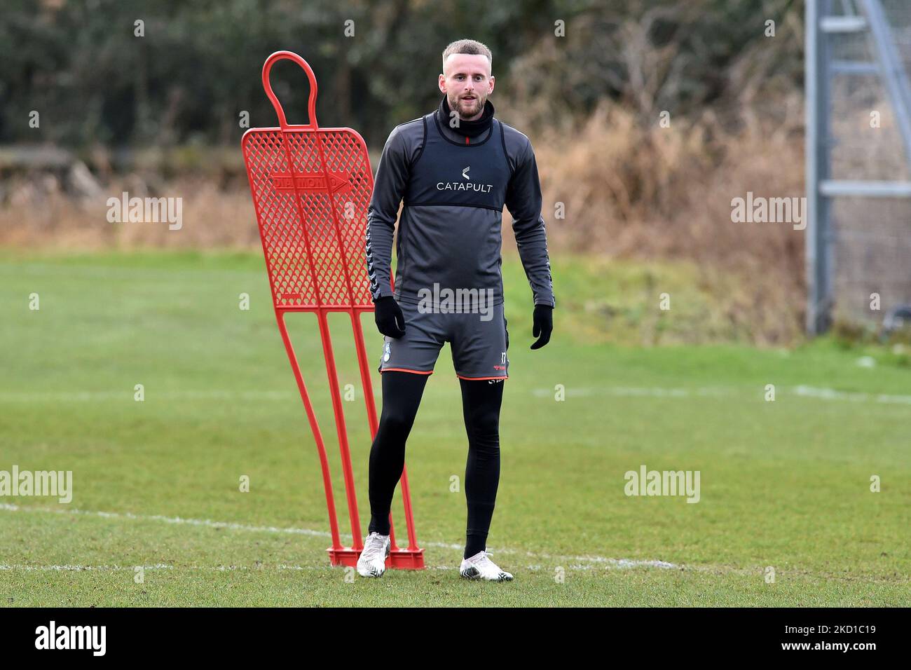 Eddie plant hi-res stock photography and images - Alamy