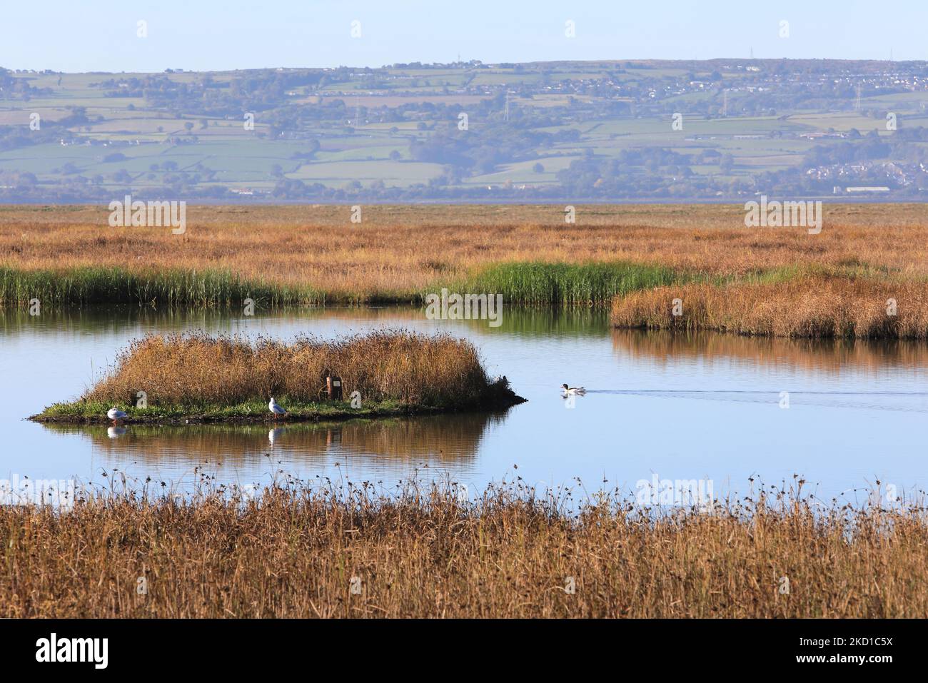 View over the salt marshes from Parkgate conservation village on the ...