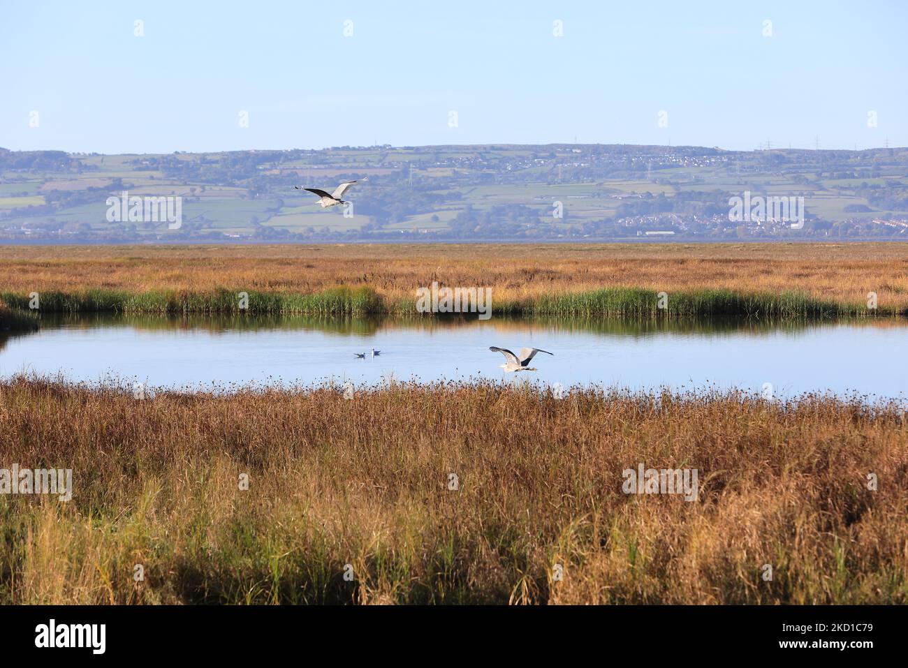 View over the salt marshes from Parkgate conservation village on the ...