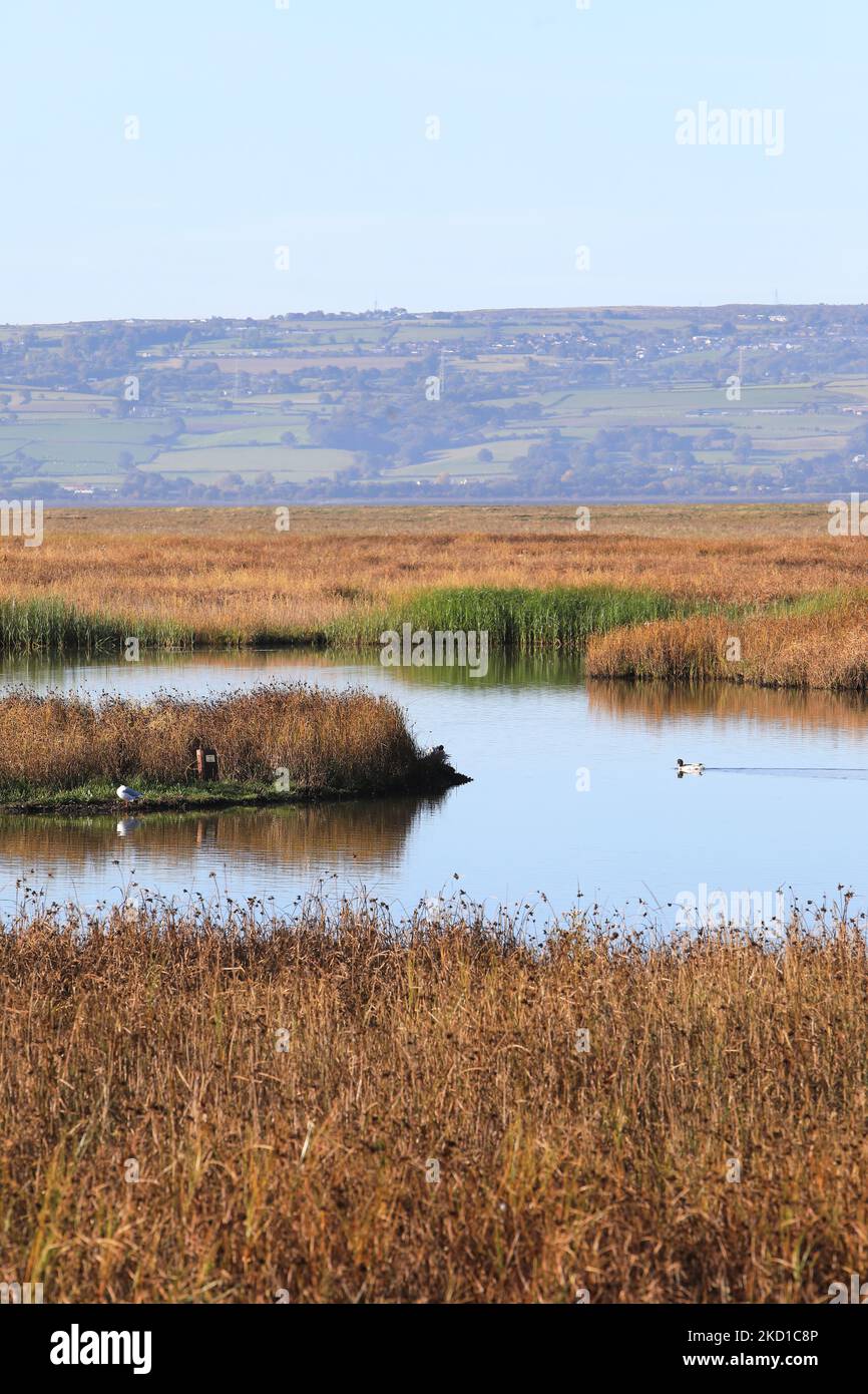 View over the salt marshes from Parkgate conservation village on the ...