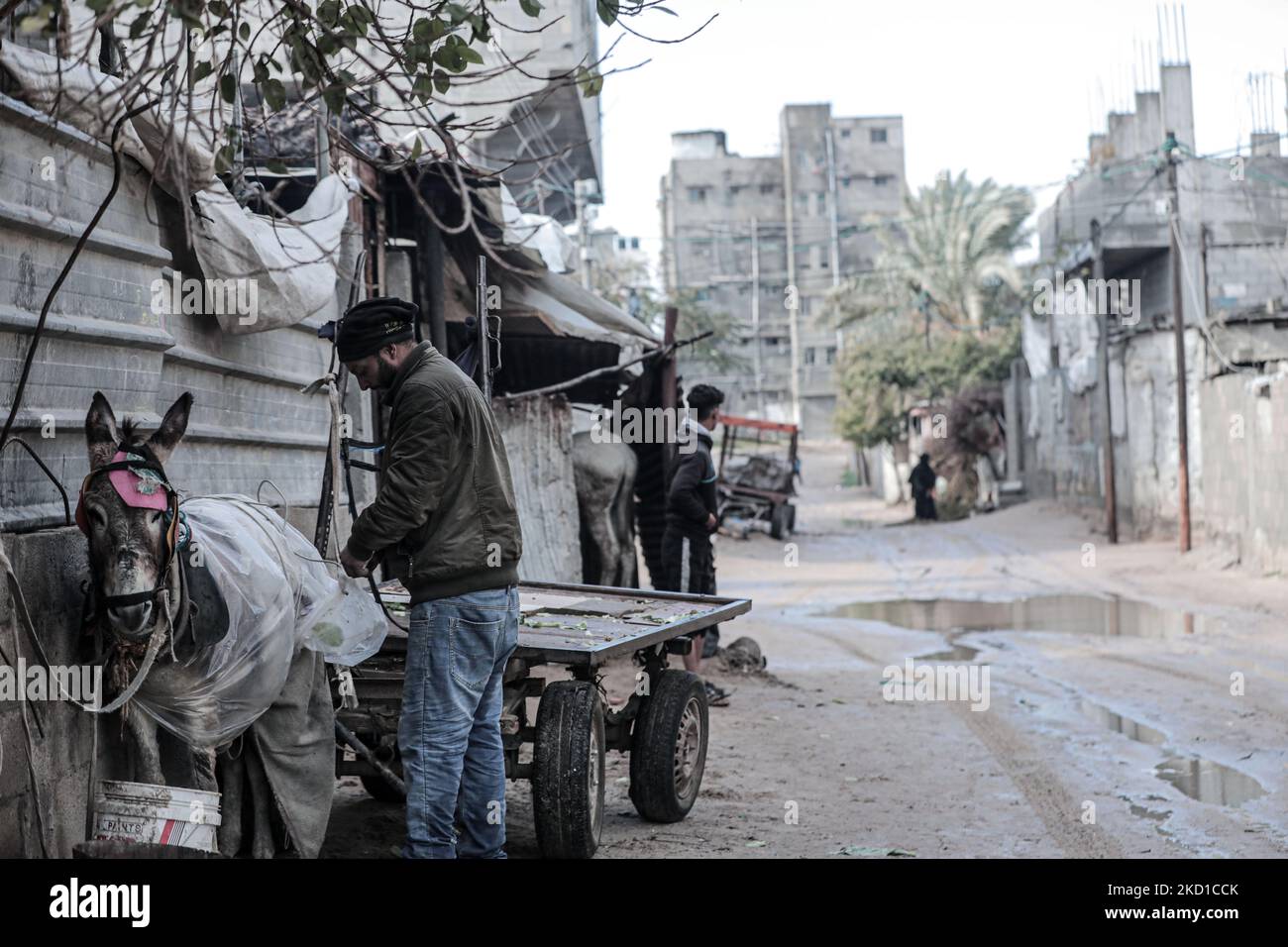 Palestinian children living in slums play in the street during cold ...