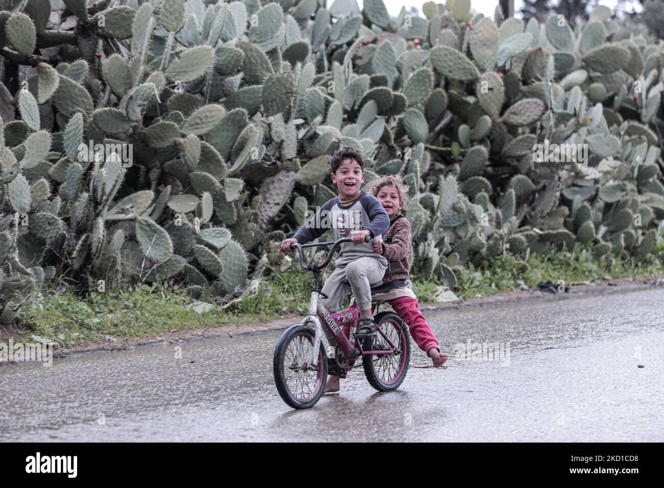 Palestinian children living in slums play in the street during cold ...
