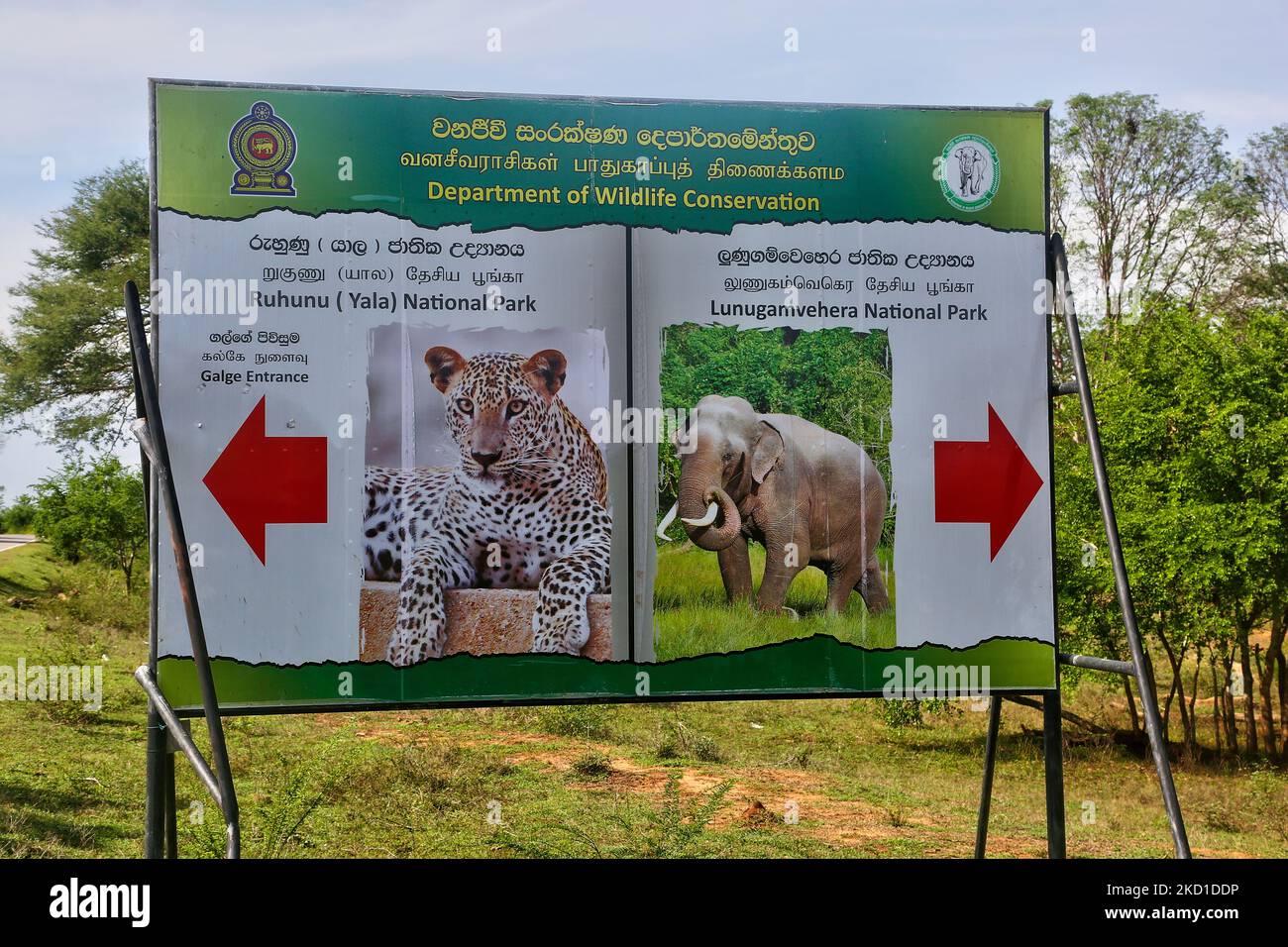 Yala strict nature reserve hi-res stock photography and images - Alamy