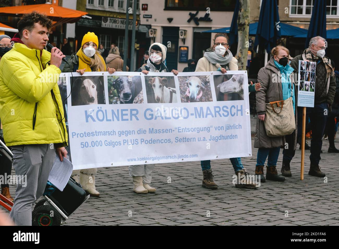 Hundreds of galgo and their owners participate the Galgowalk in Cologne ...