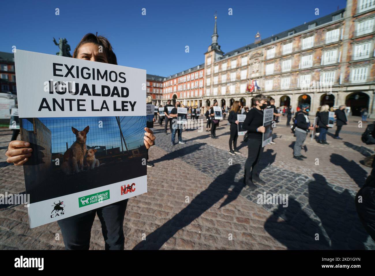 Caza mayor hi-res stock photography and images - Alamy