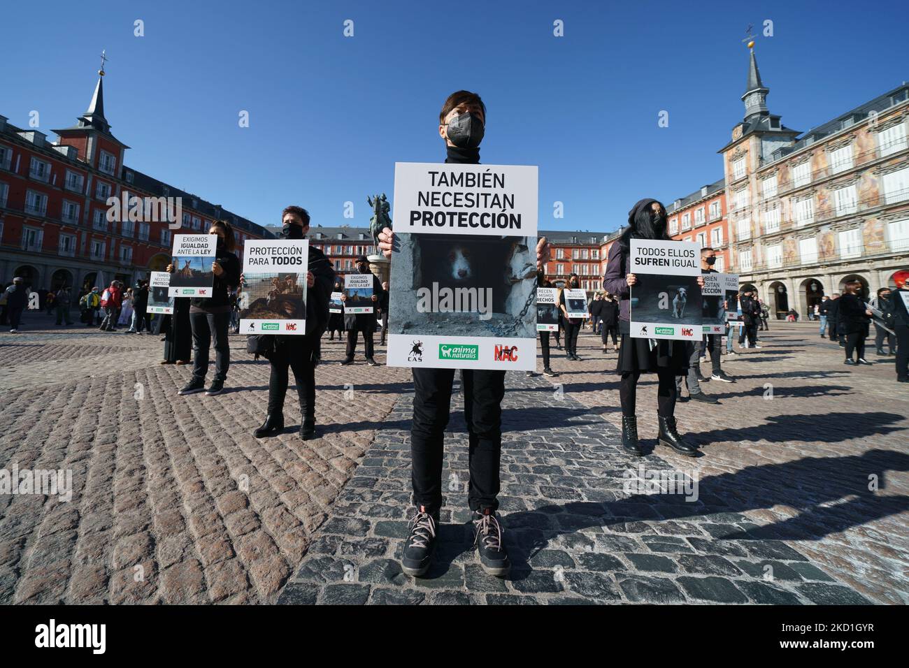 Caza mayor hi-res stock photography and images - Alamy