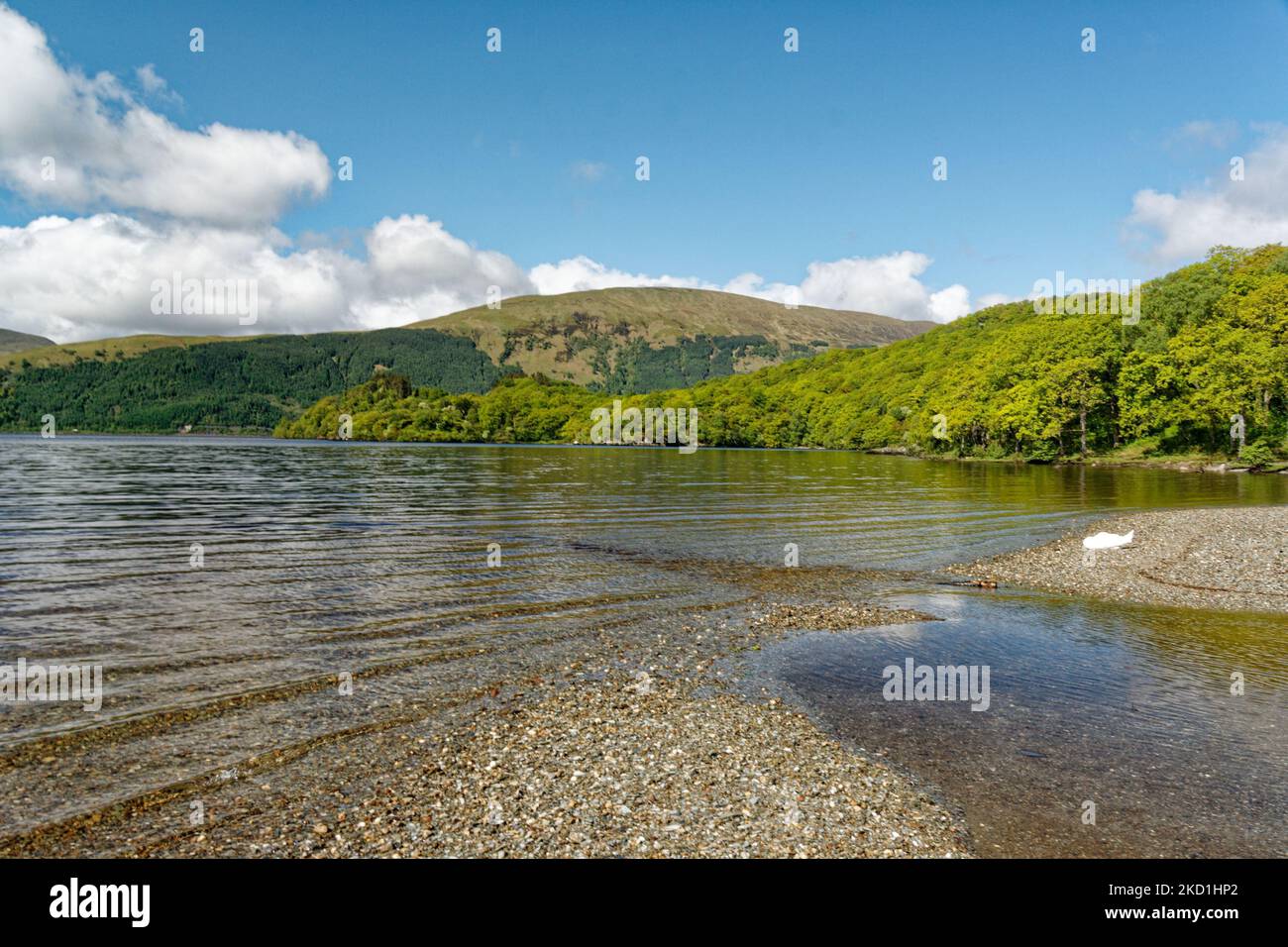 A beautiful view of Lake Loch Lomond from a shore in Scotland in a ...