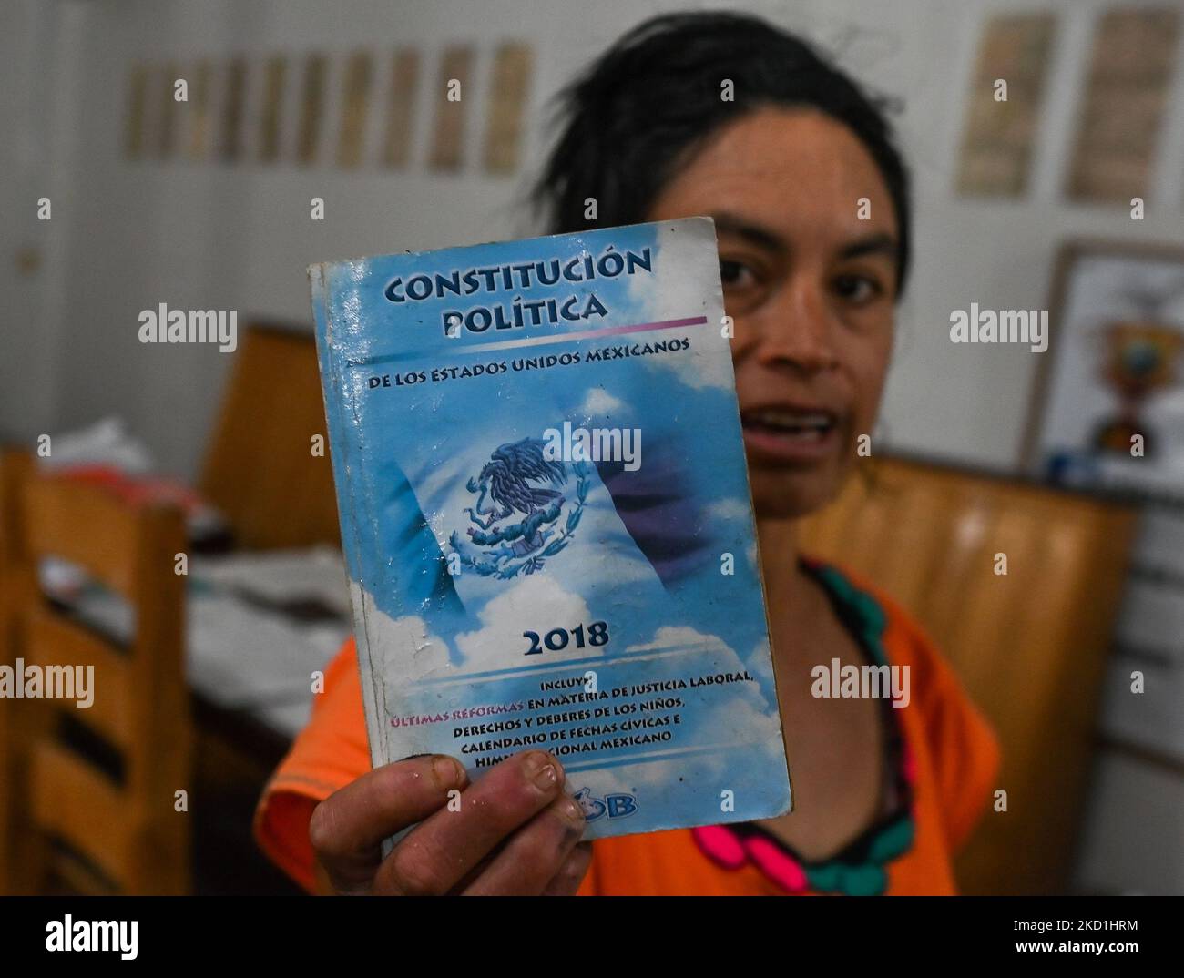 A woman holds the 2018 edition of The Political Constitution of the ...