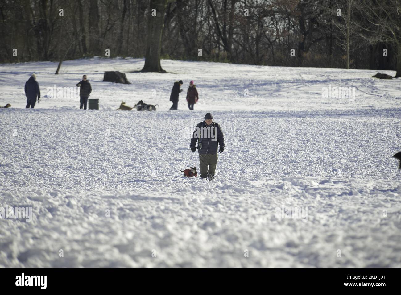 Blinding snow hi-res stock photography and images - Alamy