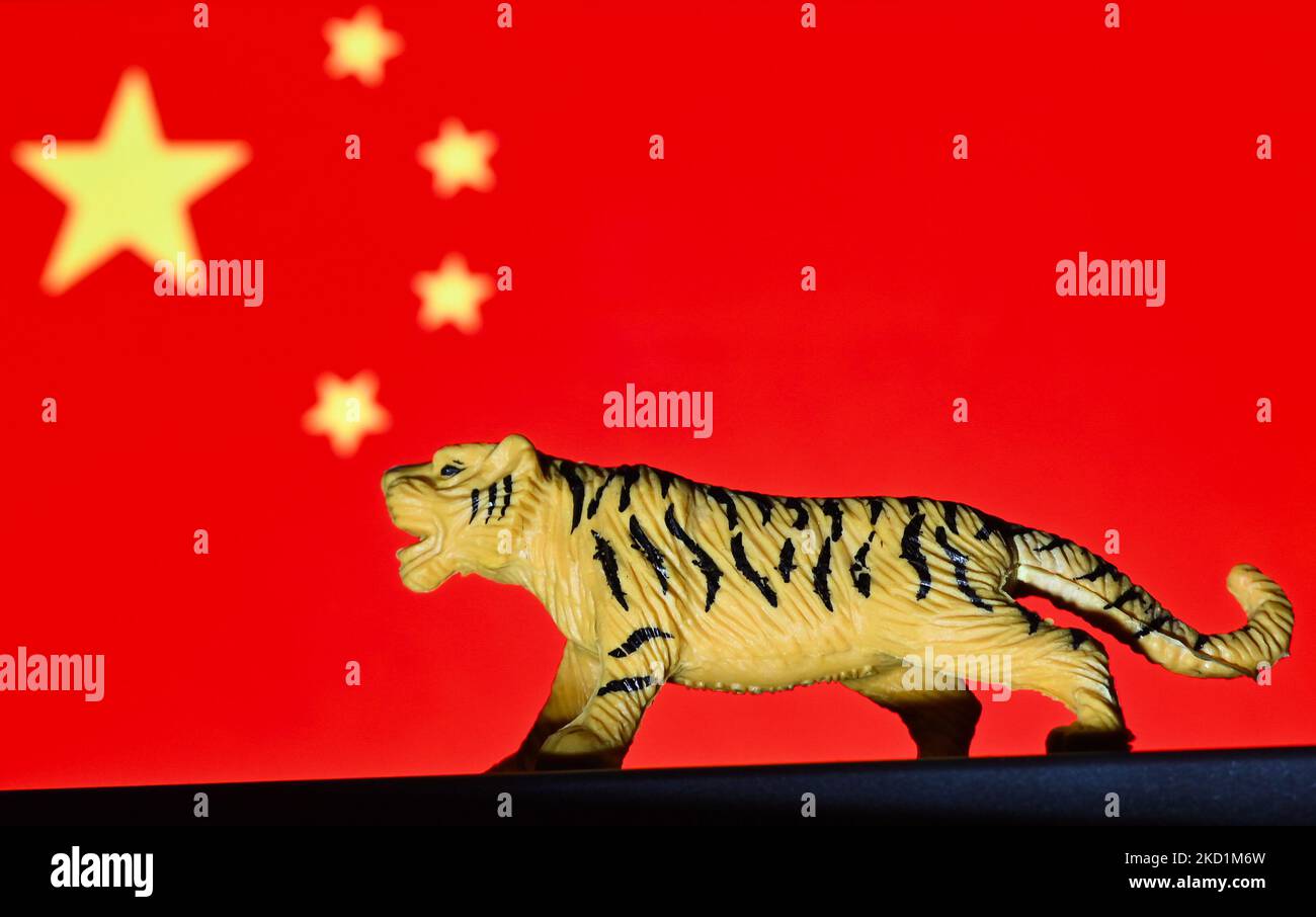 Illustration of a tiger in front of the Chinese national flag. Chinese ...