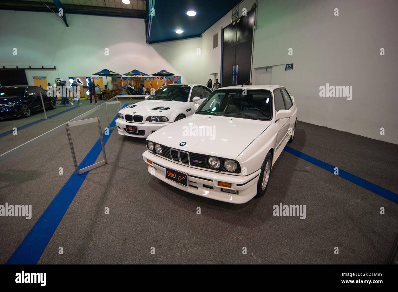 Two collection BMW M3 (E46) Back and BMW M3 (E30) Front in display ...