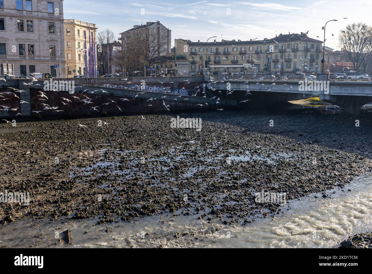 The extreme dryness of the Dora Riparia, a tributary of the Po river ...