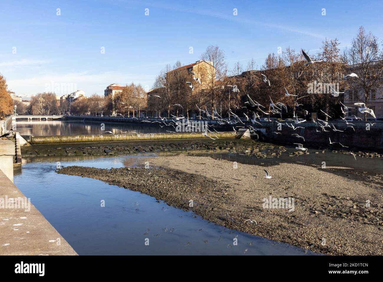 The extreme dryness of the Dora Riparia, a tributary of the Po river ...