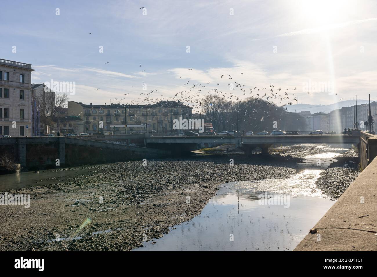 The extreme dryness of the Dora Riparia, a tributary of the Po river ...