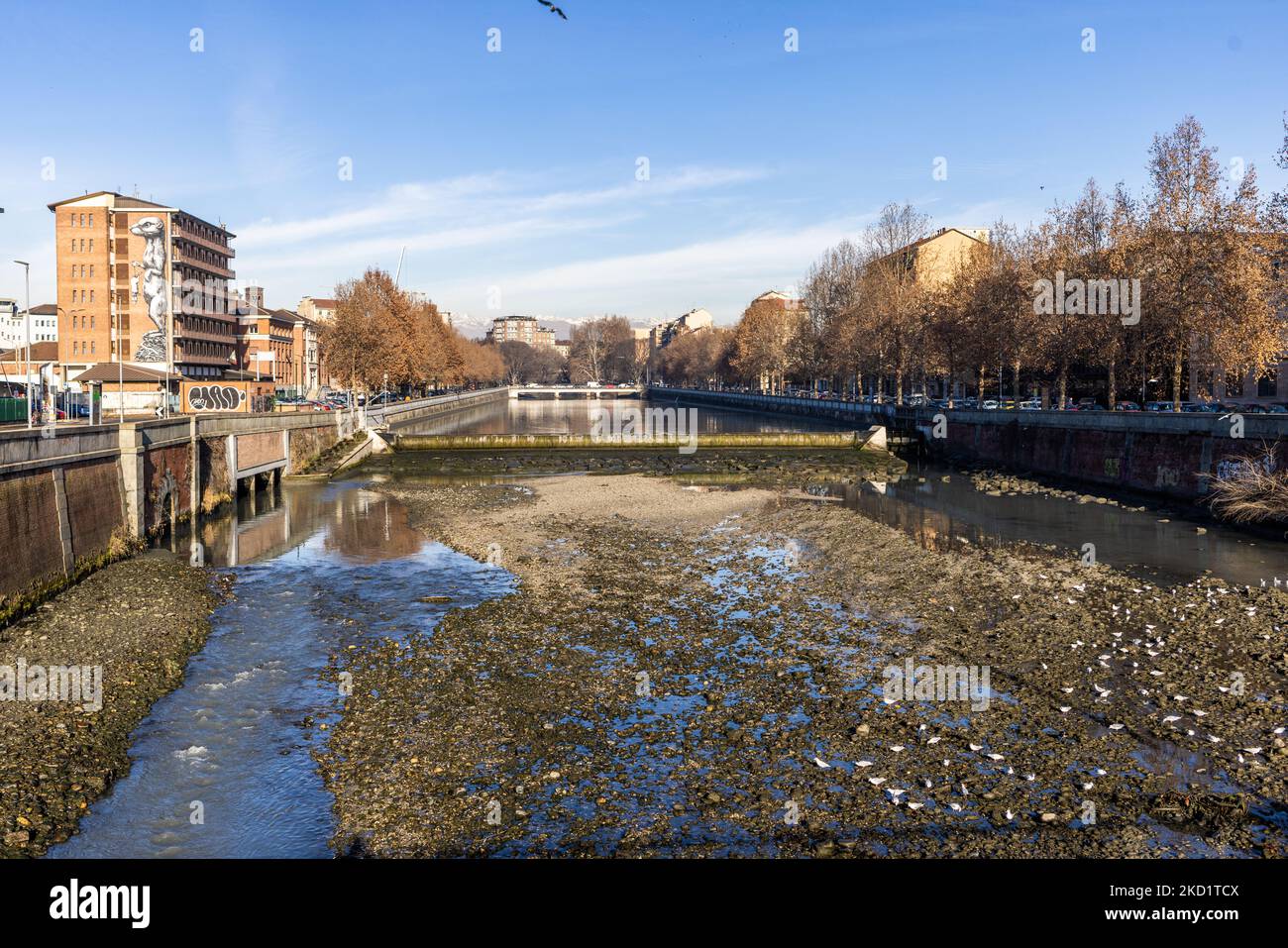 The extreme dryness of the Dora Riparia, a tributary of the Po river ...