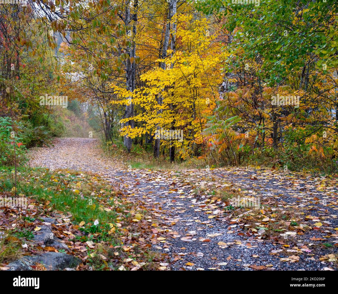 Brilliant autumn colours surround a rural road in Quebec Canada Stock ...